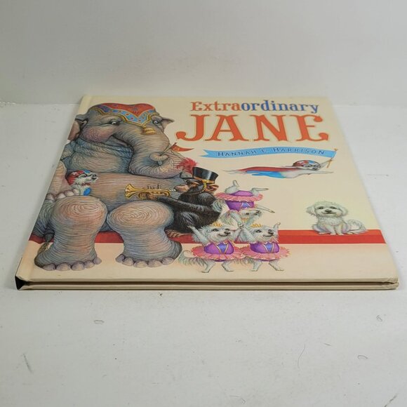 Toys | Extraordinary Jane By Hannah E Harrison | Poshmark